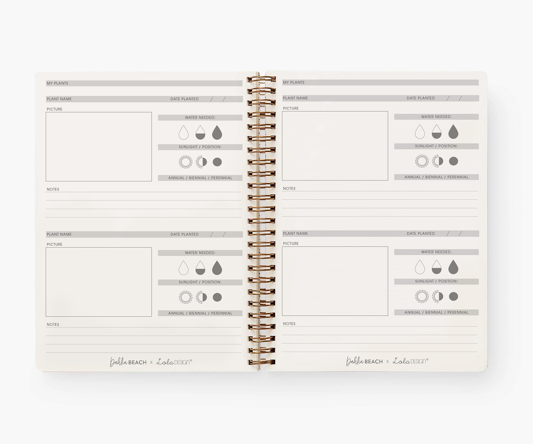 Notebooks | Lola Design Ltd