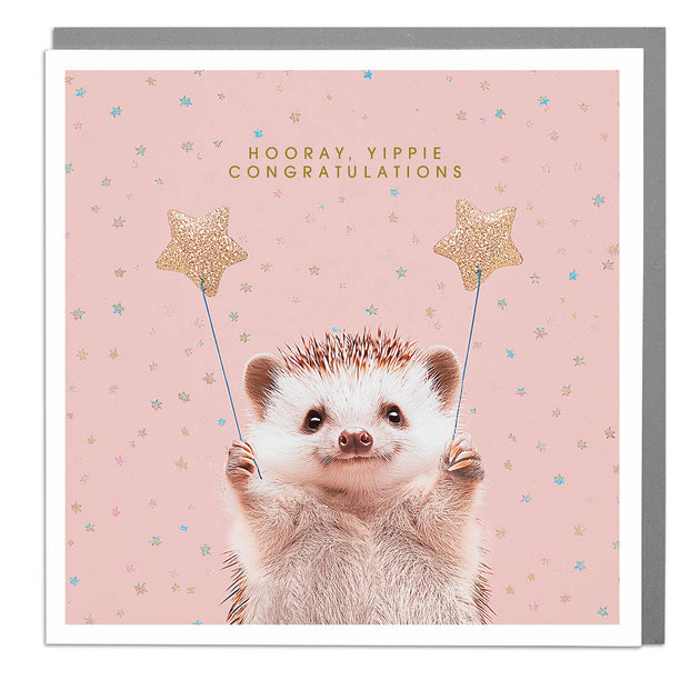 Hedgehog - Hooray, Yippie, Congratulations! Card by Lola Design– Lola ...