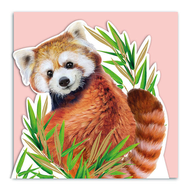 Lola Design x ZSL Greeting cards– Lola Design Ltd