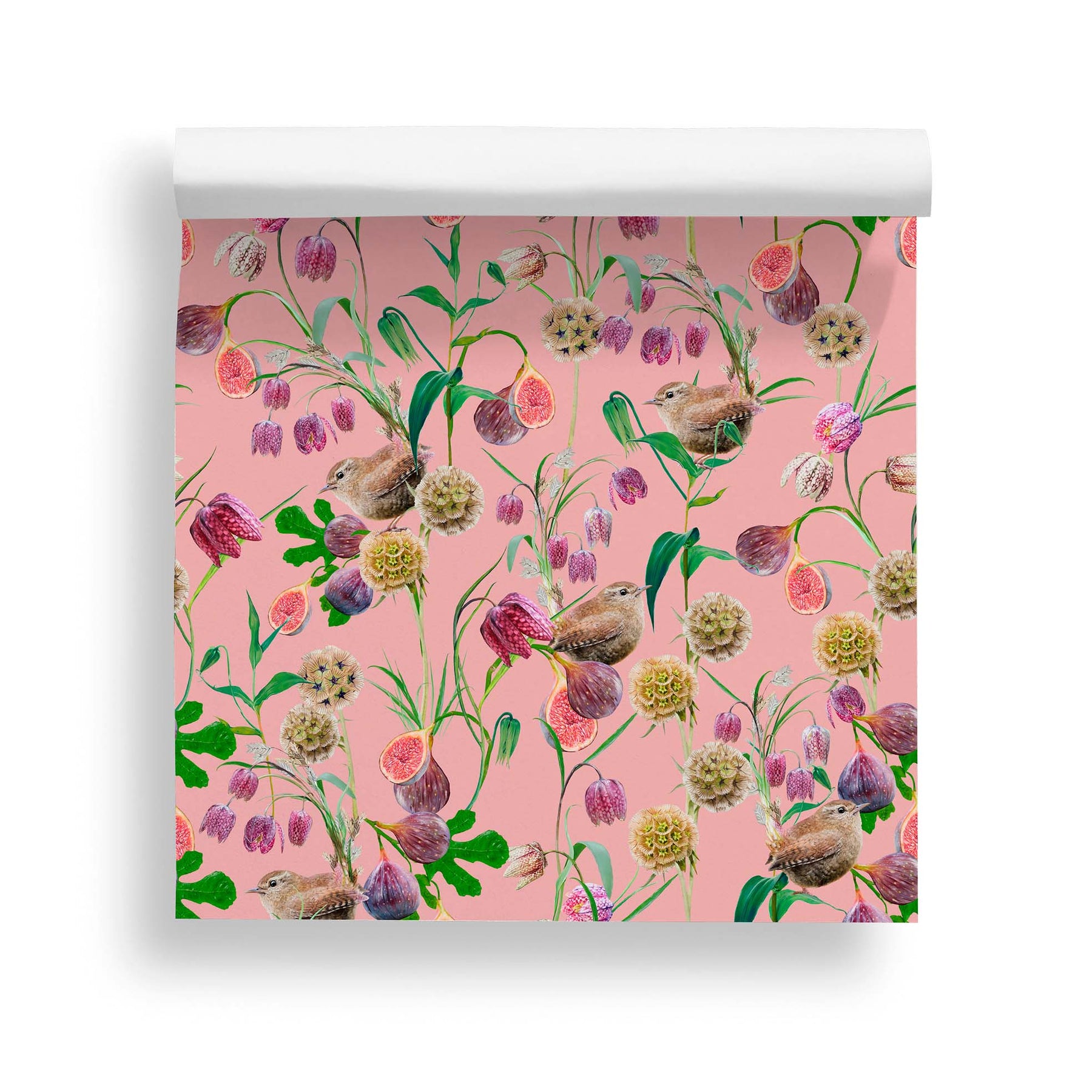 Botanical Wren Rose Pink Wallpaper by Lola Design– Lola Design Ltd